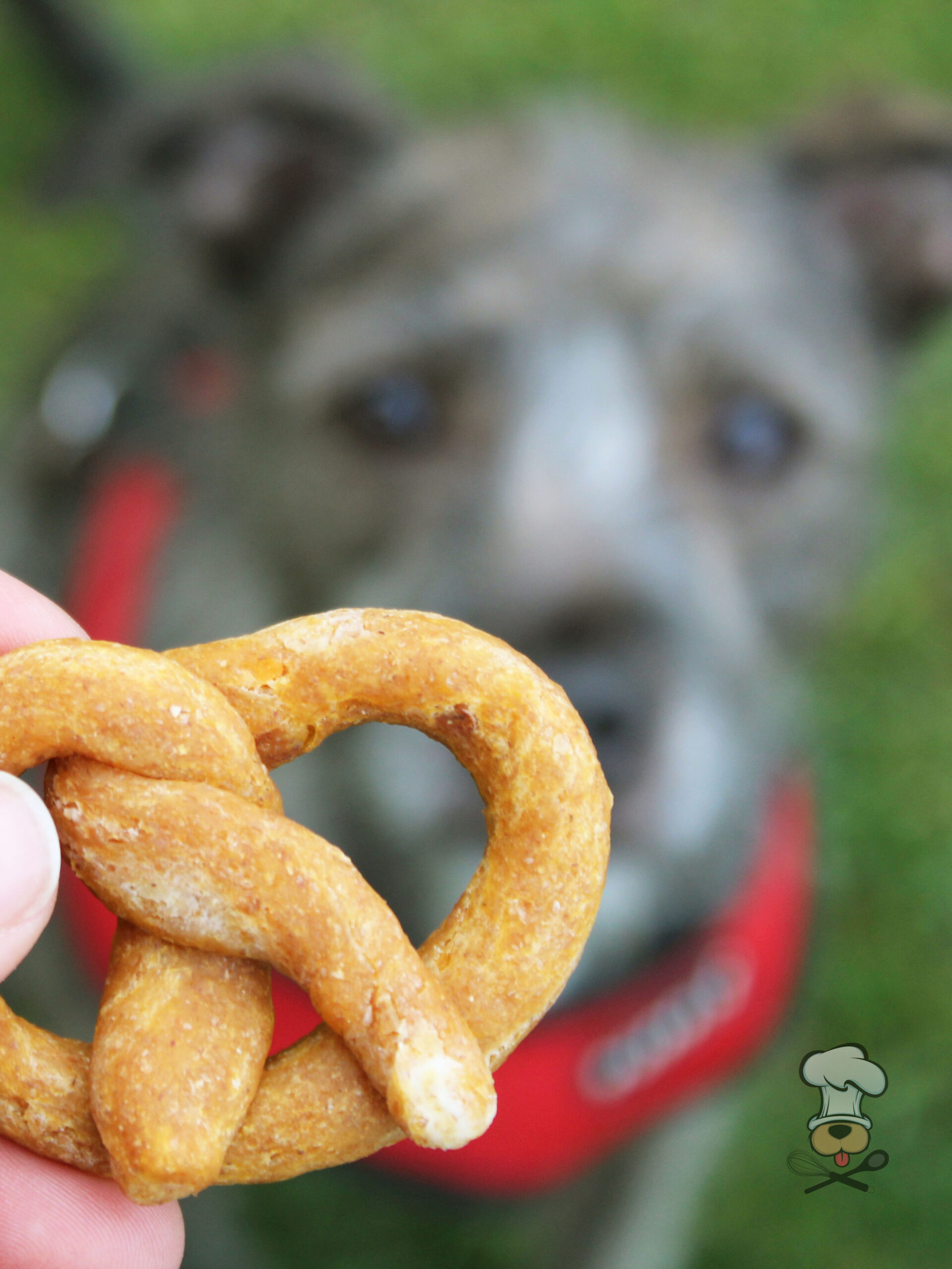 sweet potato goat cheese pretzels - Doggy Dessert Chef